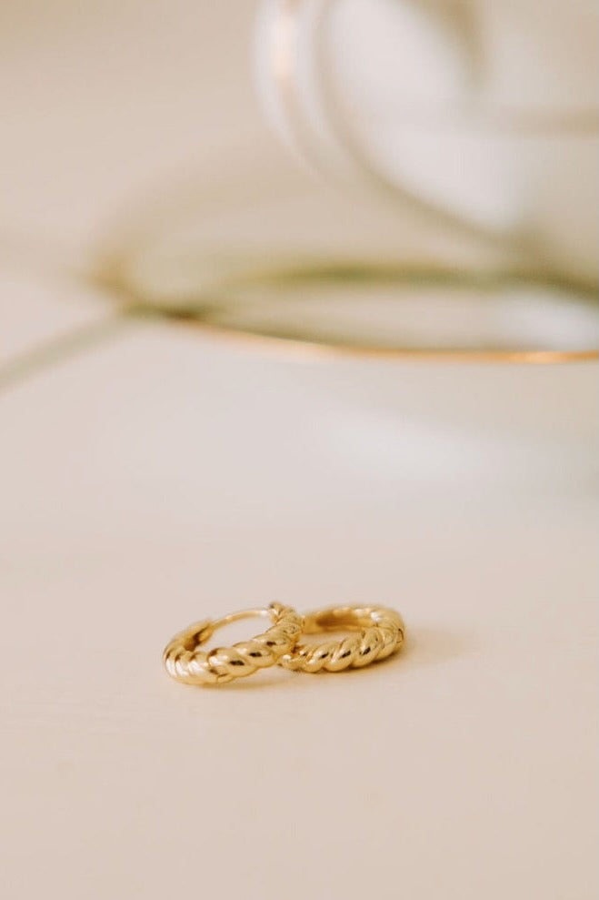 Brooklyn Twist Hoops – ROOLEE